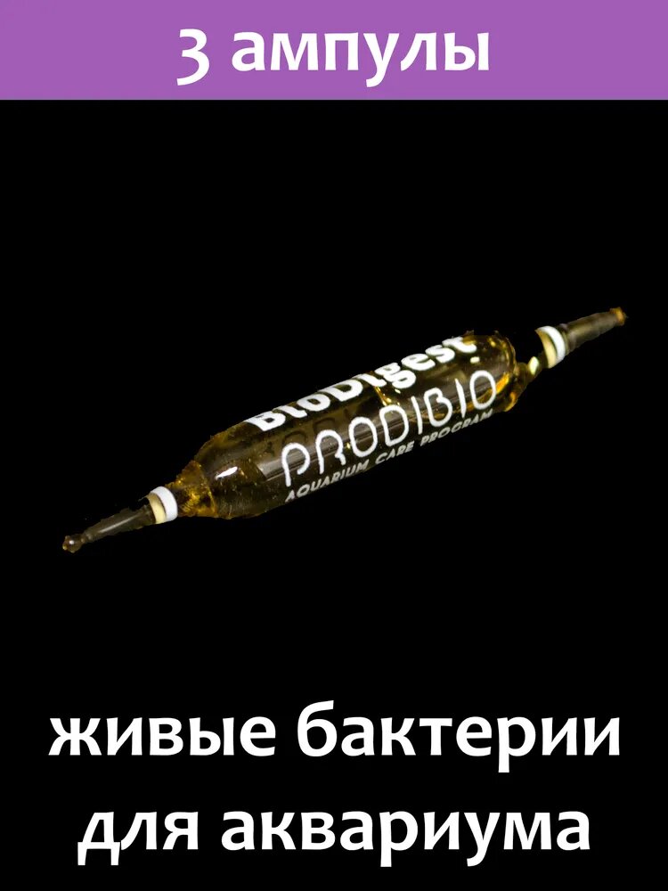 Живые бактерии для биологической фильтрации Prodibio BioDigest, 3 ампулы