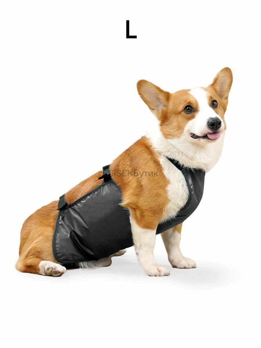 Одежда для животных