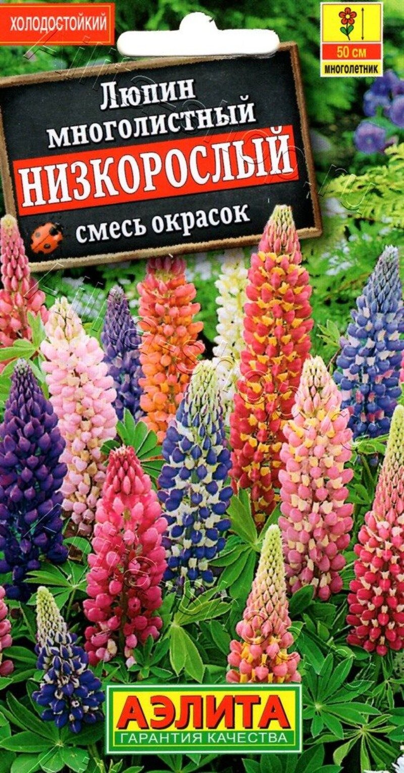 Семена Люпин Низкорослый, смесь сортов (15 семян), Агрофирма Аэлита