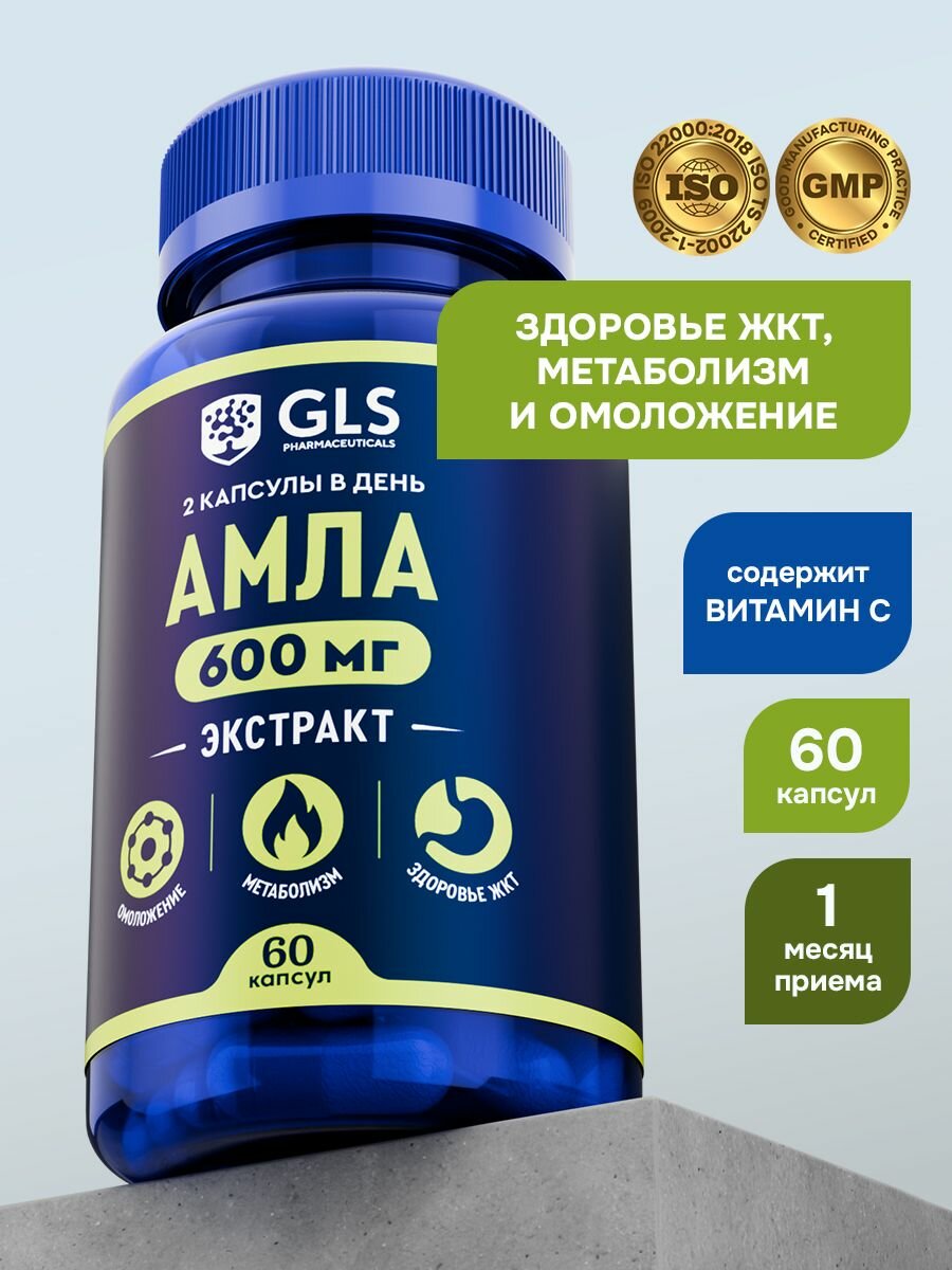 Амла 600мг (Амалаки экстракт), витамины / бады для здоровья ЖКТ, молодости и красоты, 60 капсул
