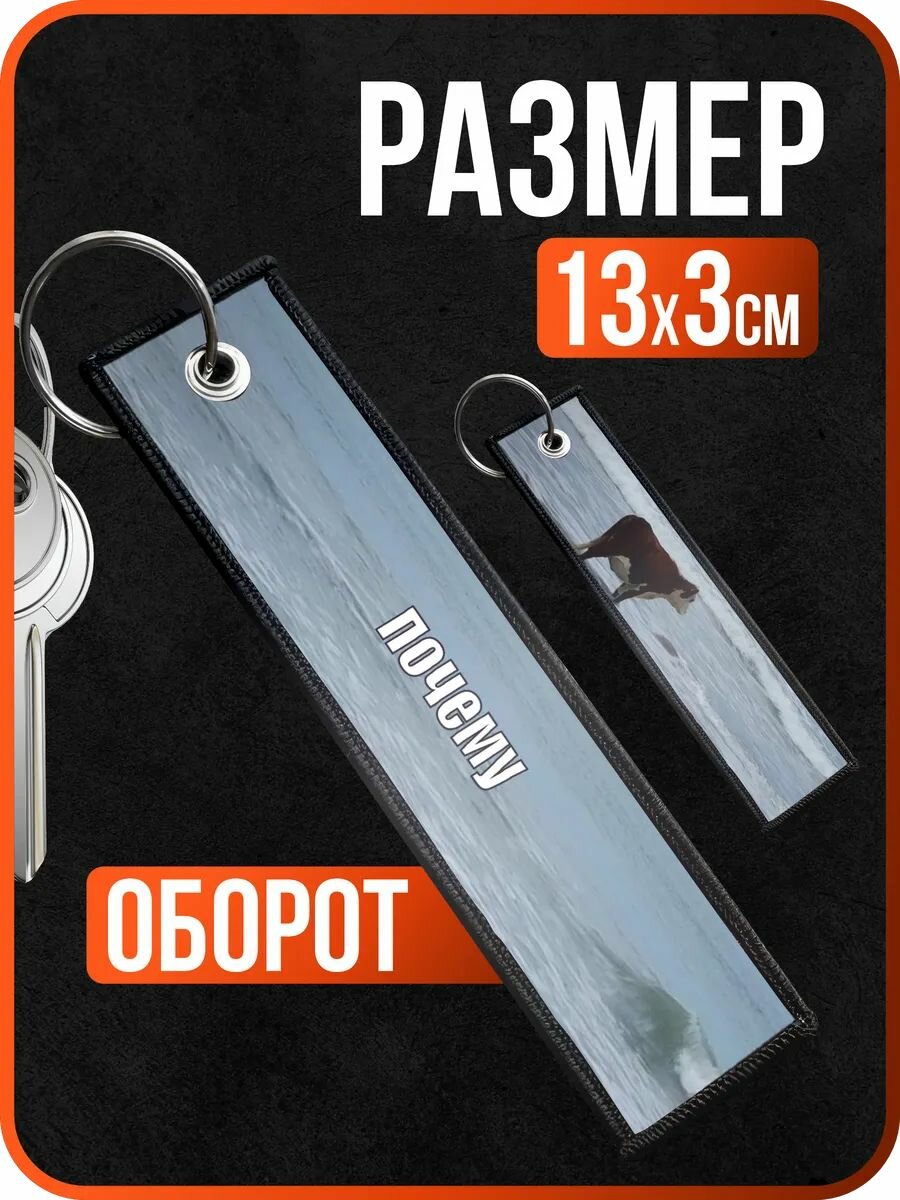 Брелок 1-я Наклейка, голубой, коричневый, черный, белый — фото 1