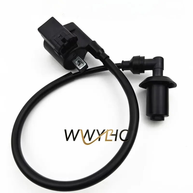 Подходит для национального IV EFI мотоцикла Langjie System Scooter Multi-boss конденсатор Высоковольтная катушка зажигания