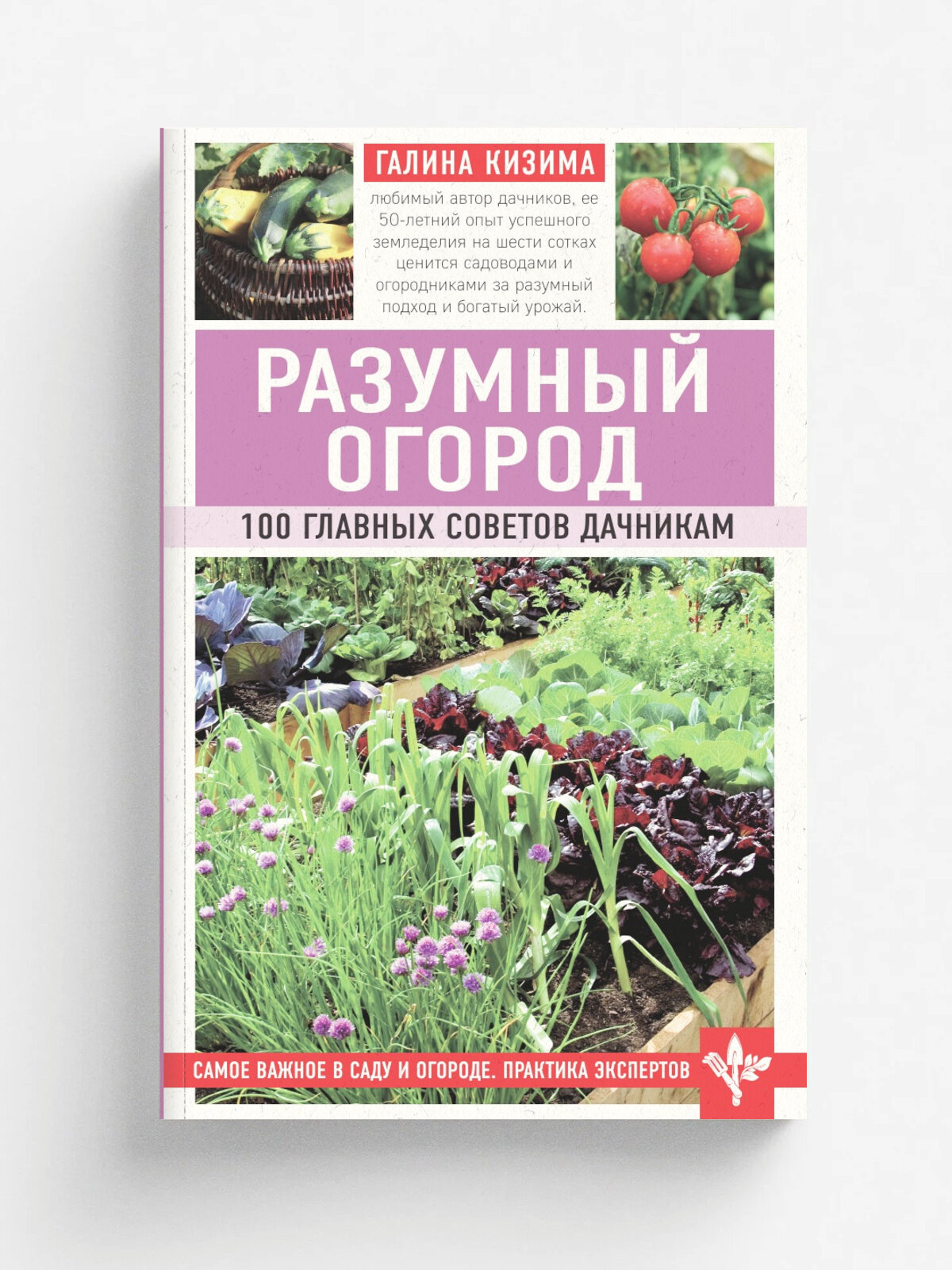 Разумный огород. 100 главных советов дачникам