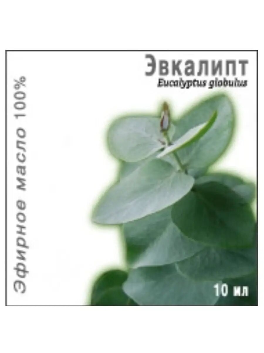 Масло эфирное эвкалипт 10 мл в индивидуальной упаковке