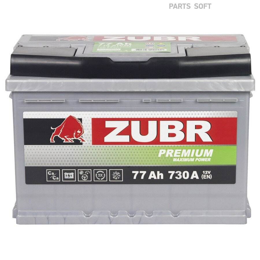 АКБ ZUBR Premium 77Ah R+ (ZP770) (-/+) 12V 730A EN низкий 278x175x175 от официального дистрибьютора, ZUBR AKB, артикул ZP770