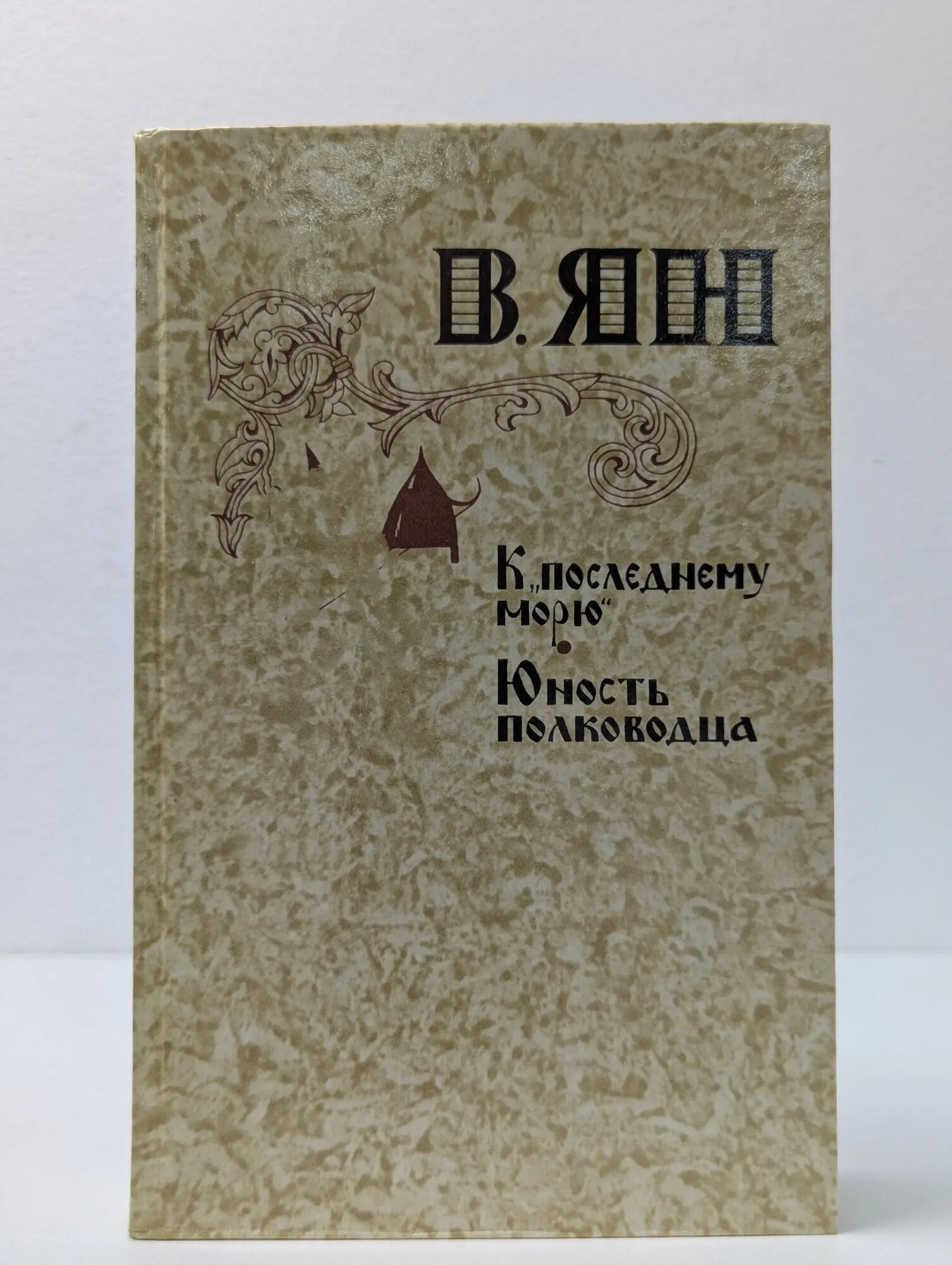 К последнему морю. Юность полководца Ян Василий Григорьевич 1981