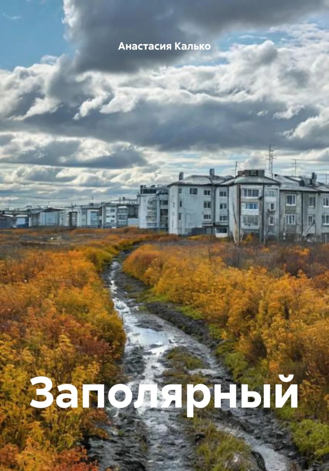 Заполярный [Цифровая книга]