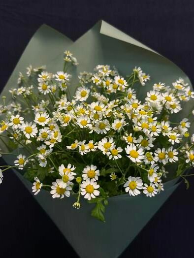 Букет ромашки 5 шт