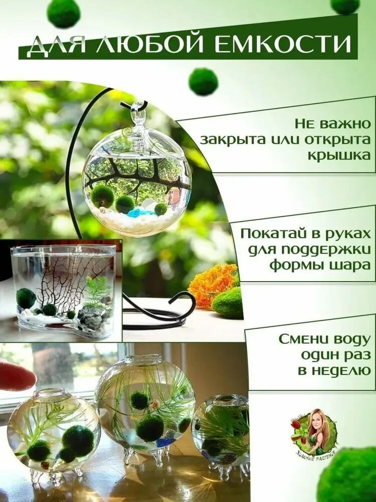 Милые шарики маримо, 4 шт.