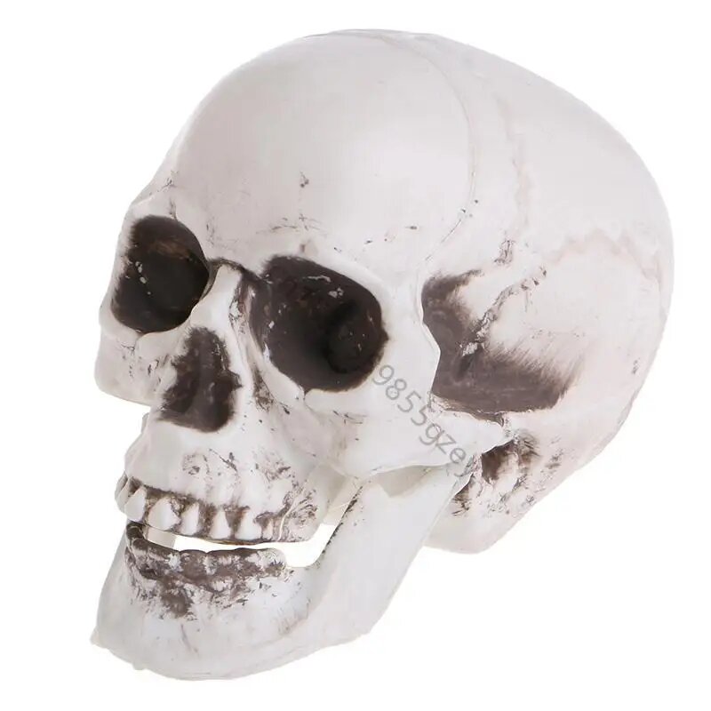 Пластиковый человеческий мини -декор Skull Decor Prop Skeleton для кофейных батончиков Хэллоуина Orna 69HA