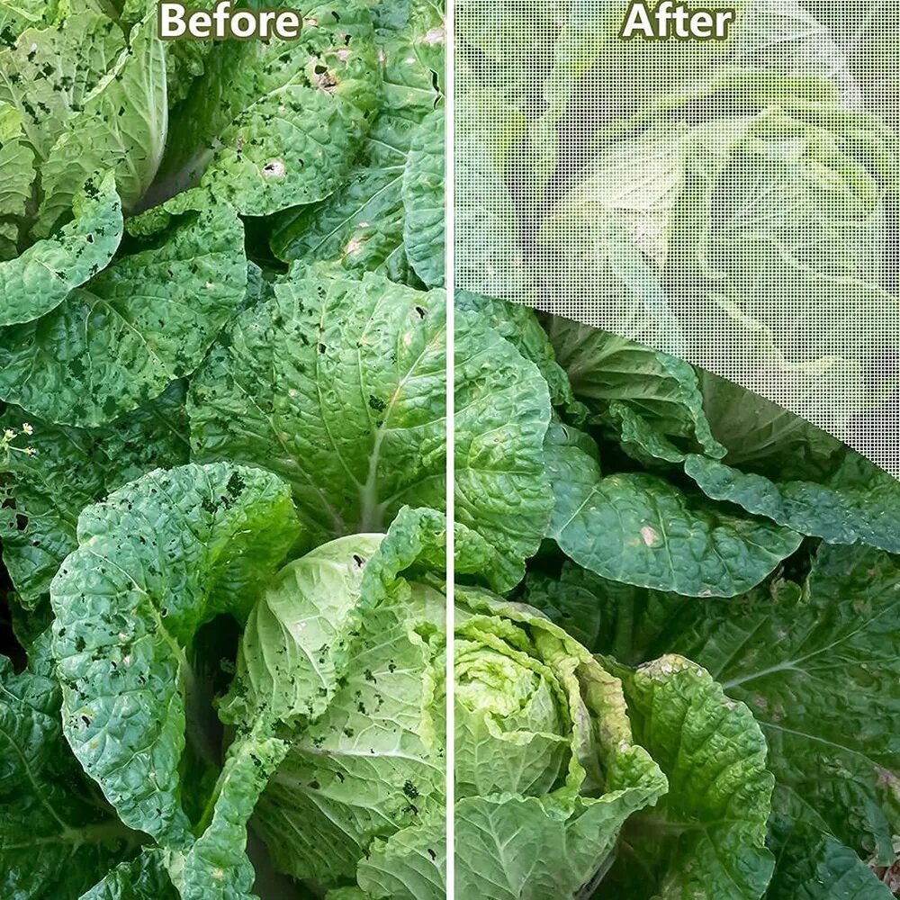 Сетка садовая газонная от кротов,3.13х2.86м