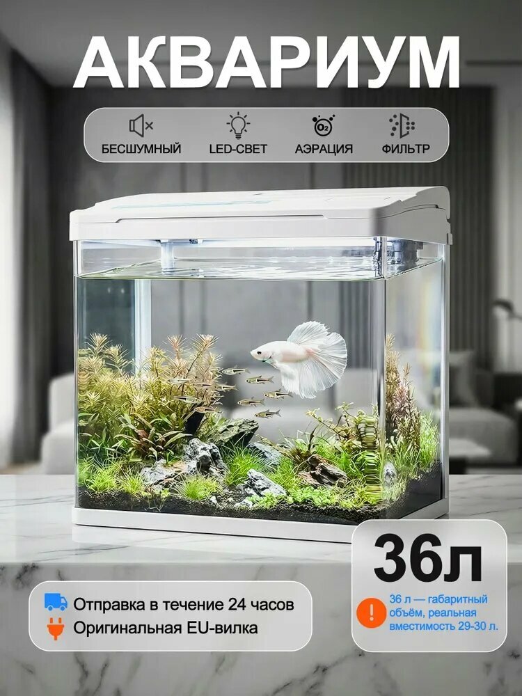 Аквариум стеклянный 36 литров прямоугольный с фильтром и LED подсветкой, настольный аквариум для рыб,38x24.3x40.5 см
