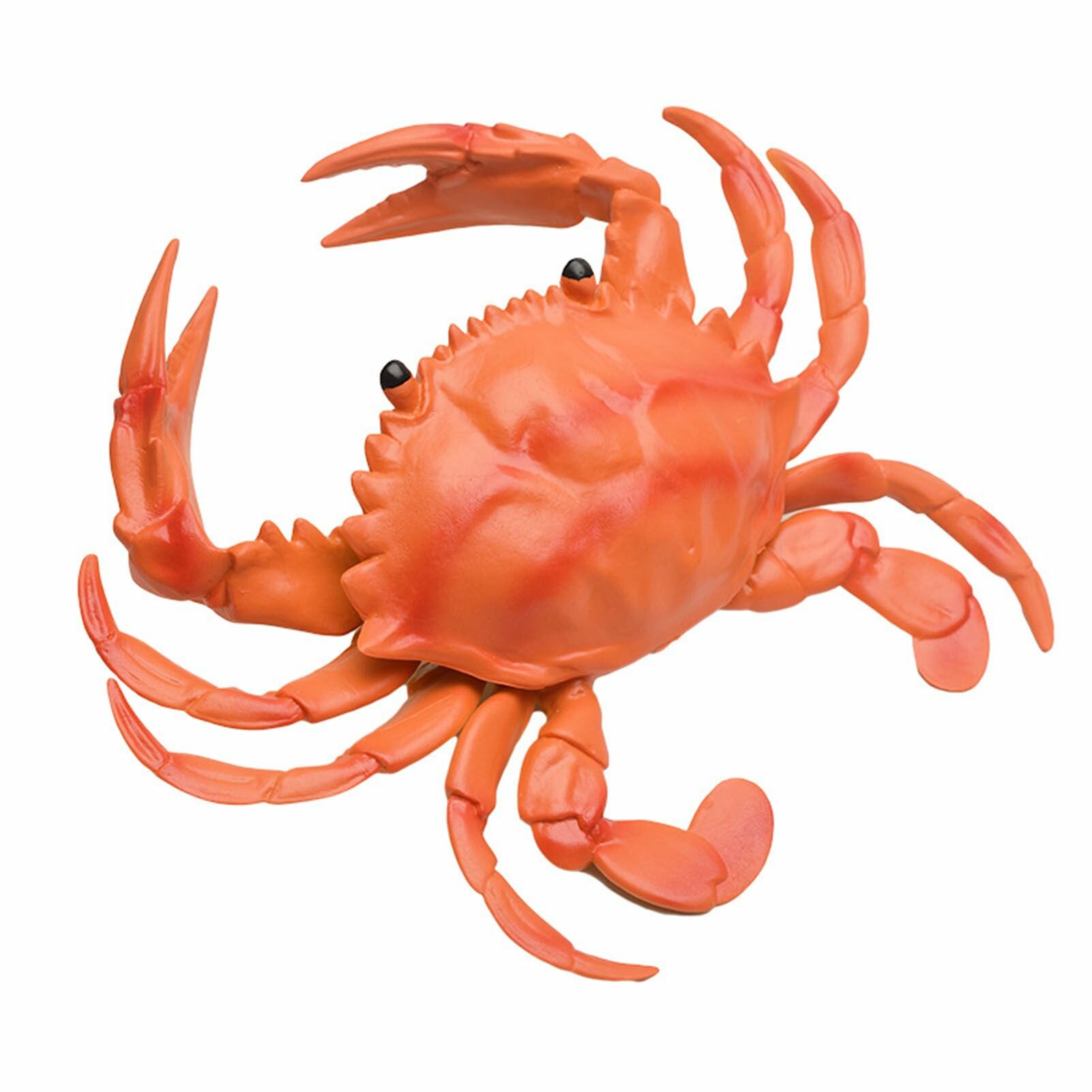 Звуковой краб-имитация, морской реквизит, обучение, декор