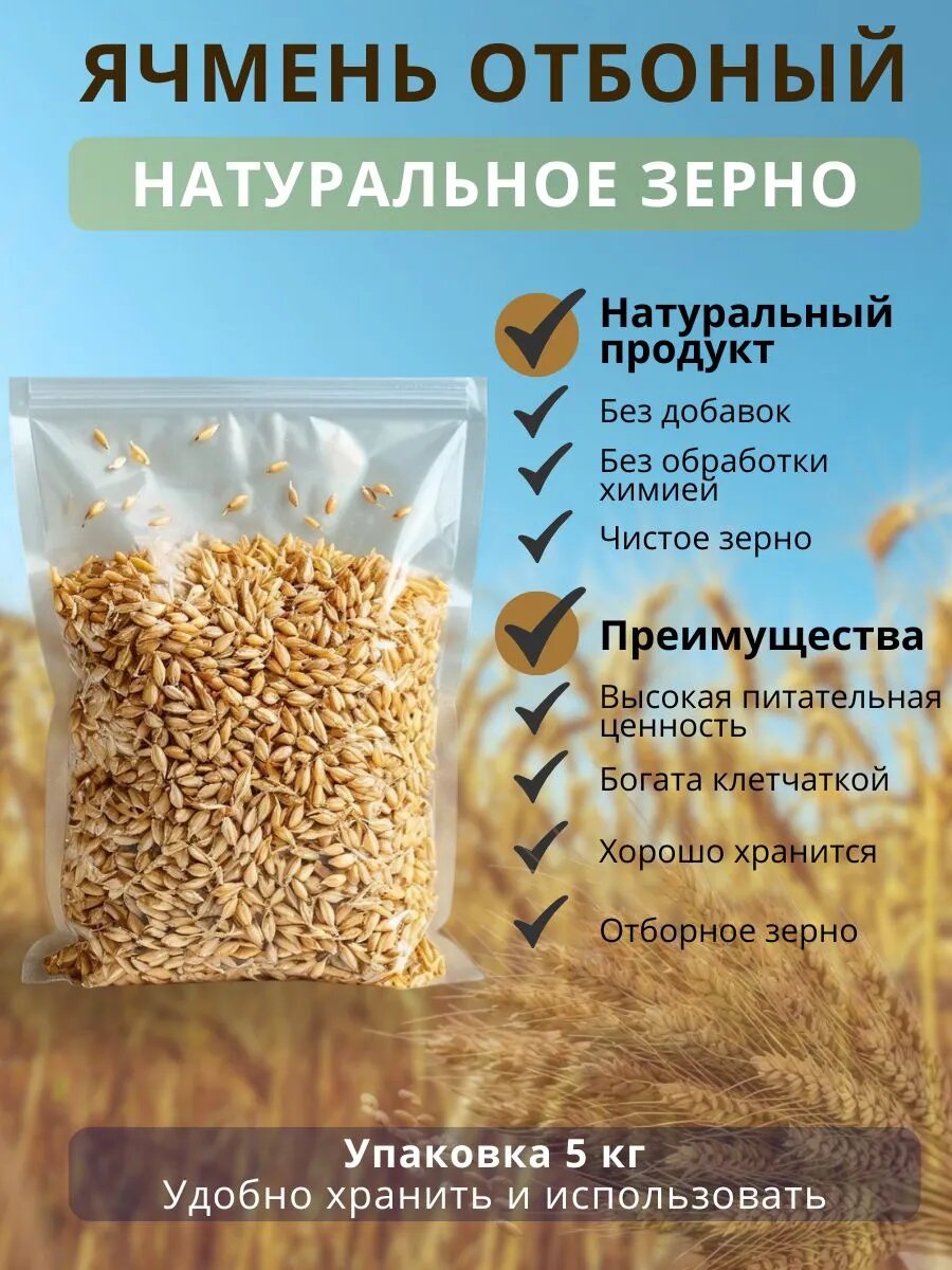 Ячмень на ростки