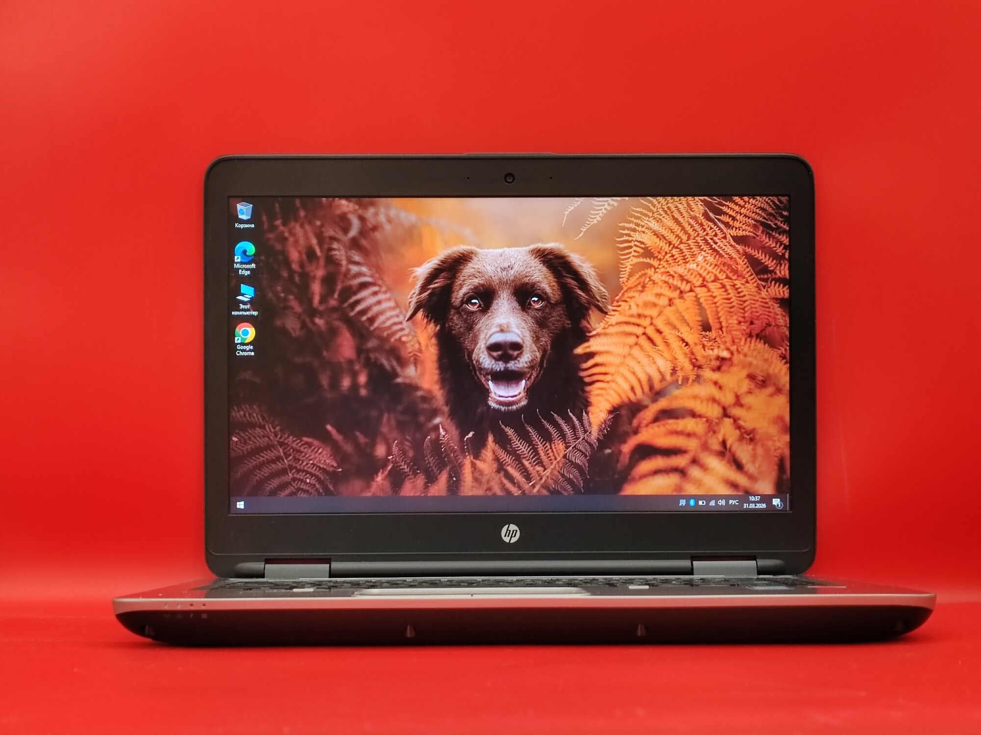 14" HP ProBook 640 G3/Core i5 7200U/SSD 256GB/8GB/windows 10