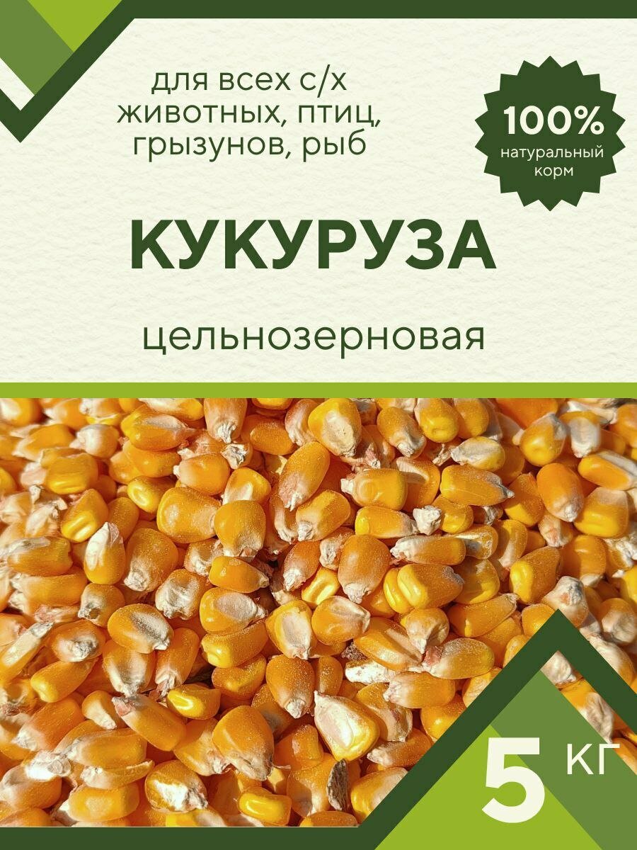 Кукуруза кормовая 5 кг цельнозерновая для с/х животных, рыбалки, птицы, кроликов, грызунов, свиней
