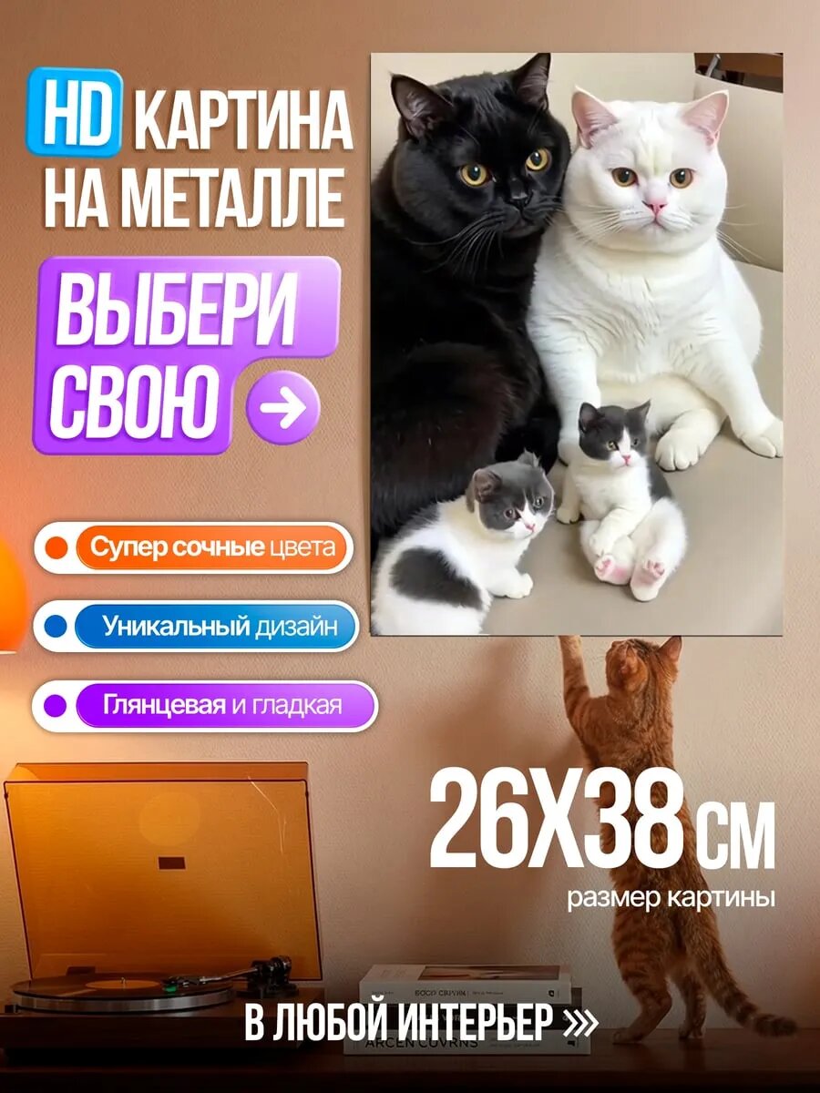 Картина на HD металле Черный и белый коты