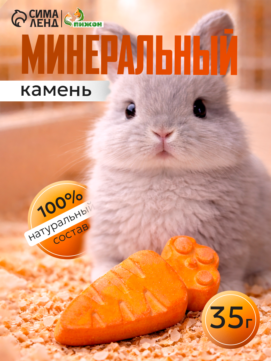 Минеральный камень Пижон "Морковка", для грызунов, для стачивания зубов, 35 г