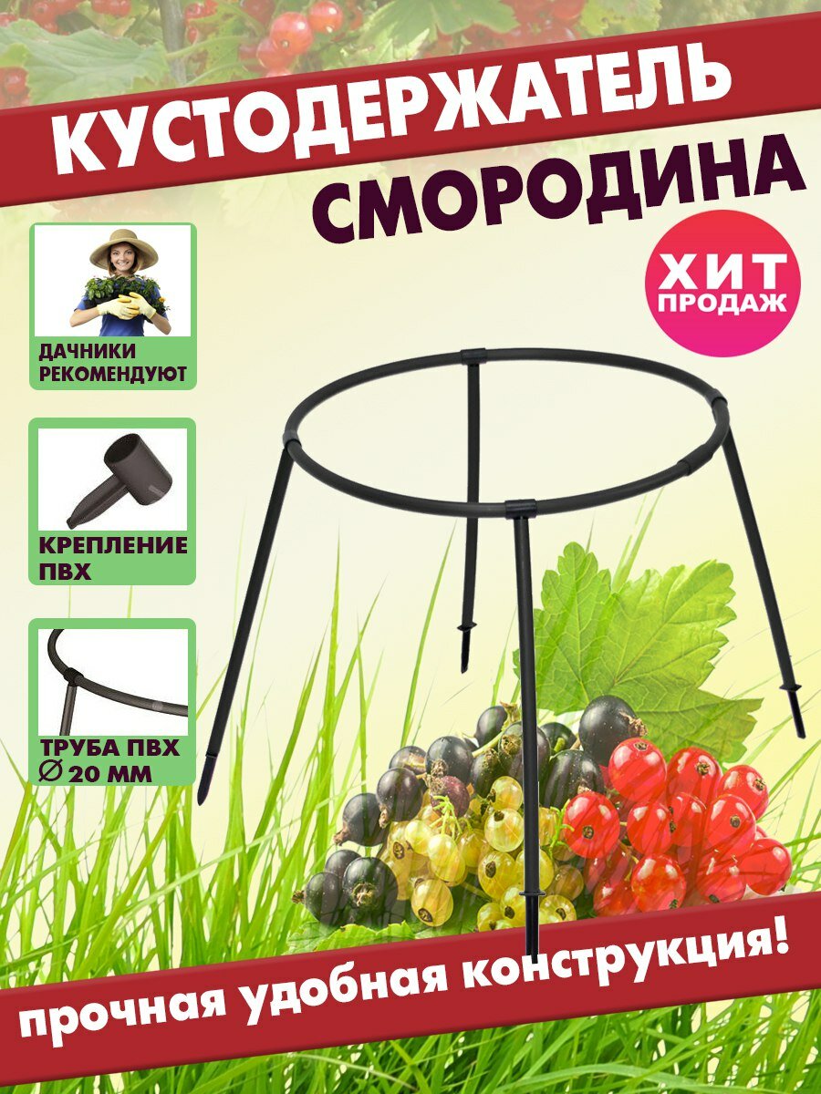 Кустодержатель "Смородина" садовый пластиковый, опора для растений