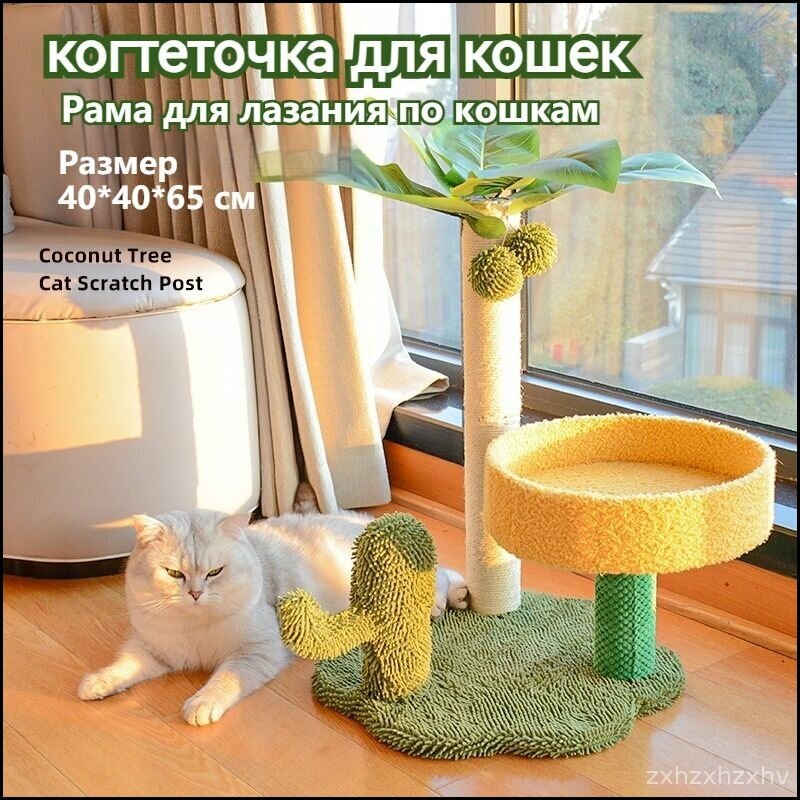 Когтеточка