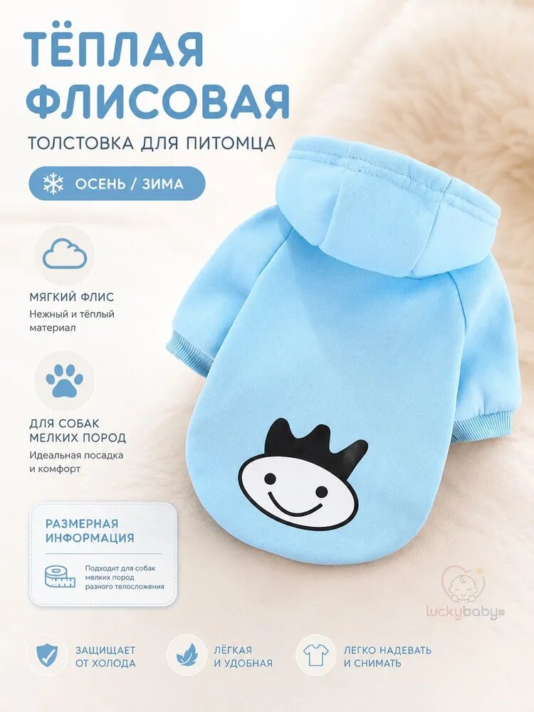 Одежда для домашних животных с героями мультфильмов, всесезонные толстовки для собак, пальто для маленьких собак чихуахуа, йорки, плюшевый мишка