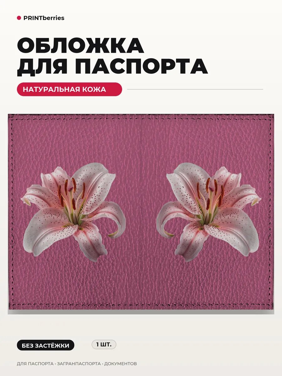 Обложка для паспорта PRINTBERRIES