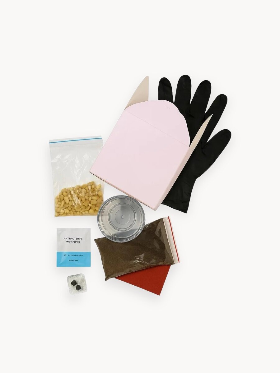 Набор для выращивания семян лотоса в горшке "Волшебный лотос" , подарочная упаковка