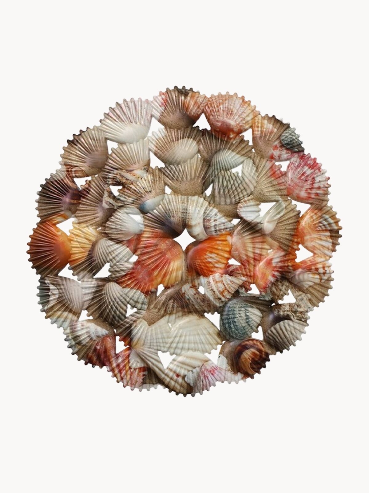 Коврик для раковины Доляна «Ракушки», силикон, круглый, 28 см