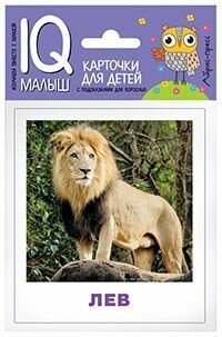 Книга "Умный малыш. Животные жарких стран. Набор карточек для детей."