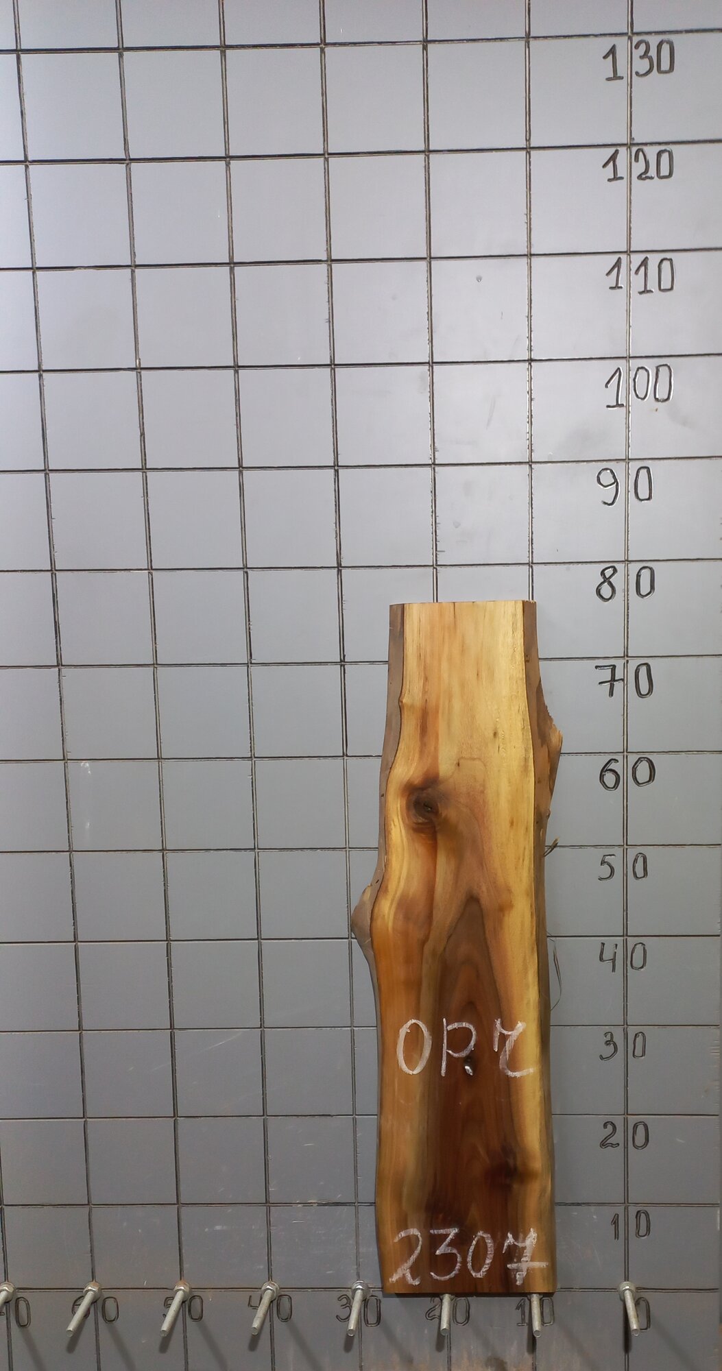 Слэб натурального дерева ценных пород Орех черный №2307; 2,3*17*75 см, доклес