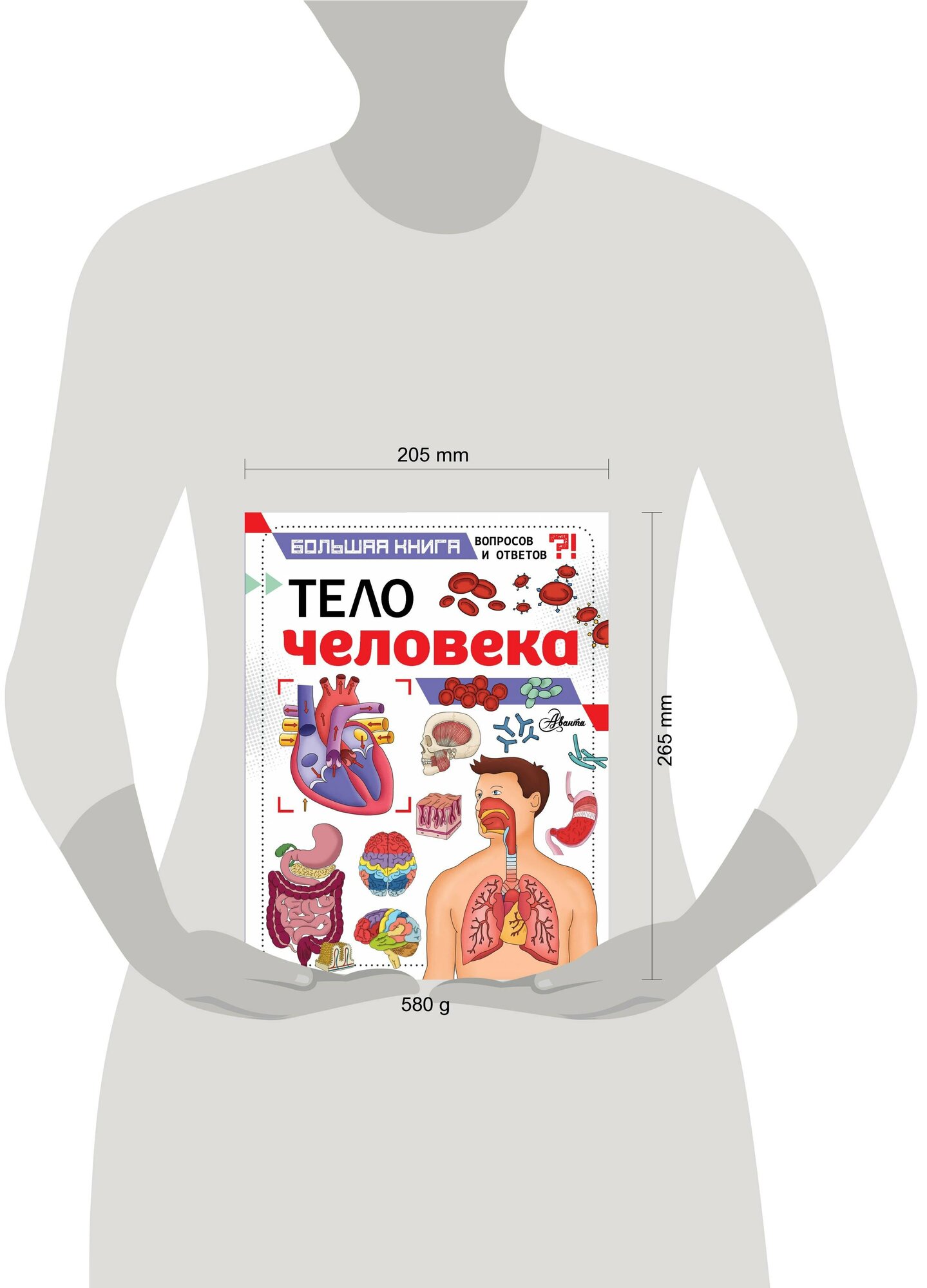 Тело человека — фото 1