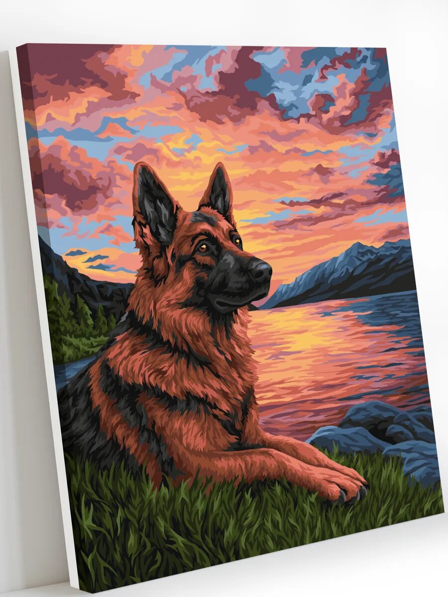 Овчарка на закате Картина по номерам на холсте 40х50 см