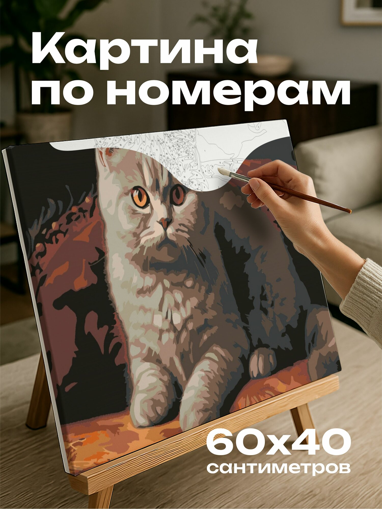 Картина по номерам 60x40 см, картина, масло, британская короткошерстна, густая шерсть, янтарные глаза, камин