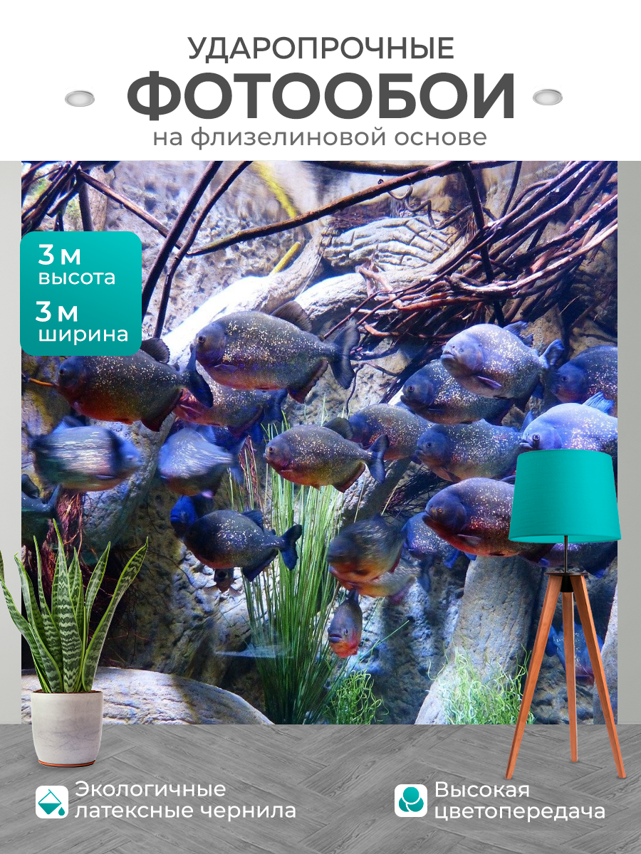 Фотообои моющиеся ударопрочные "Пираньи, рыбы, аквариум" 300x300 см. флизелиновые на стену