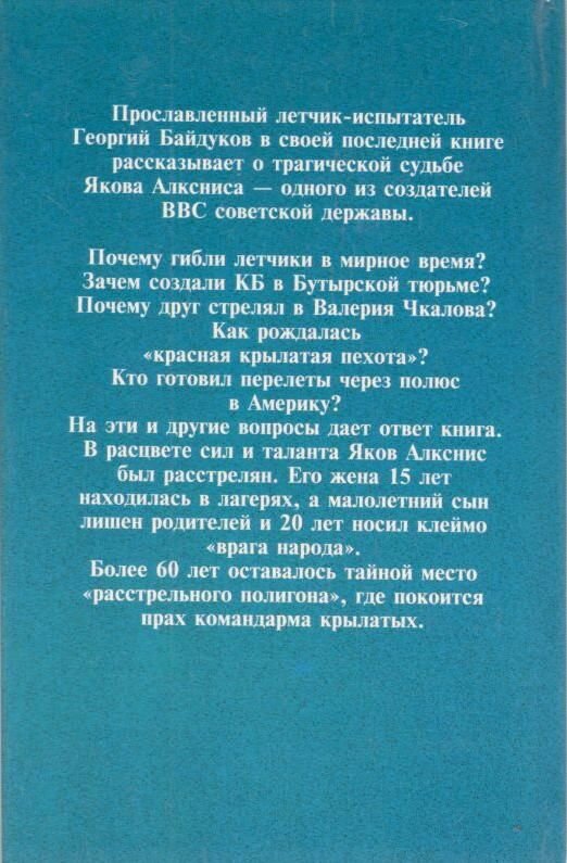 Командарм крылатых — фото 1