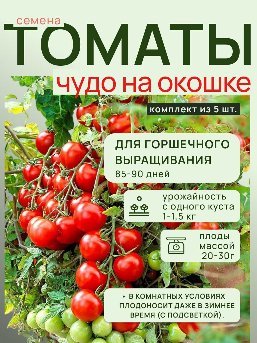 Семена томатов сорт "Чудо на окошке" сорт для горшечного выращивания, 5 пачек