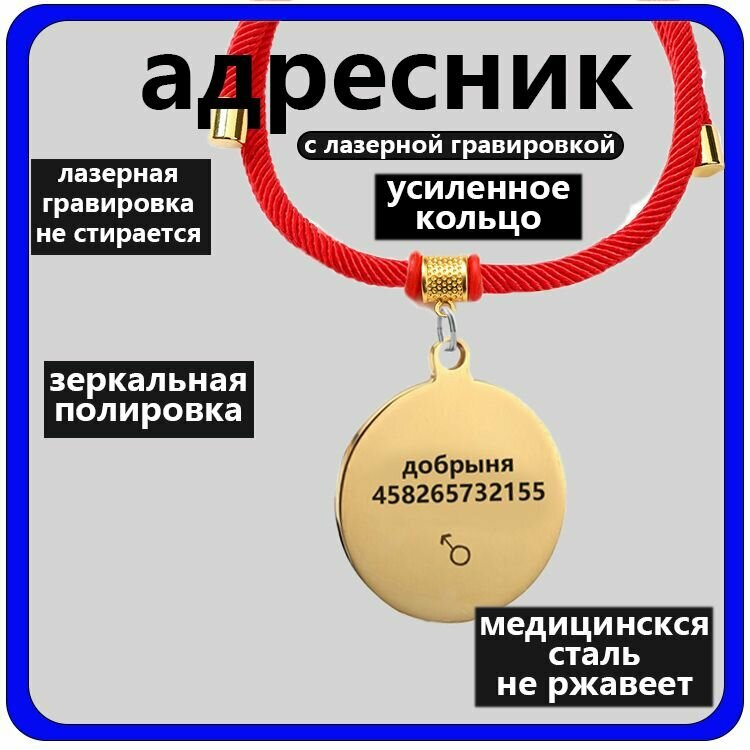 Адресник для собак и кошек с гравировкой и ошейником XS 16 -22cm