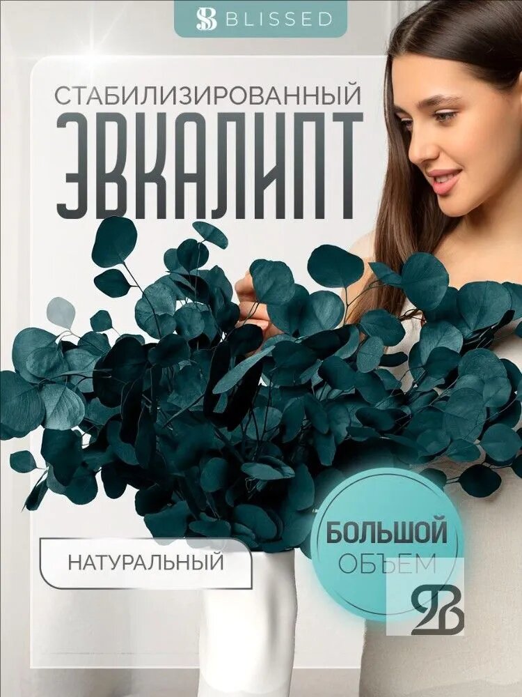 Сухоцветы Эвкалипт, 55 см, 150 гр. Натуральные веточки для декора интерьера