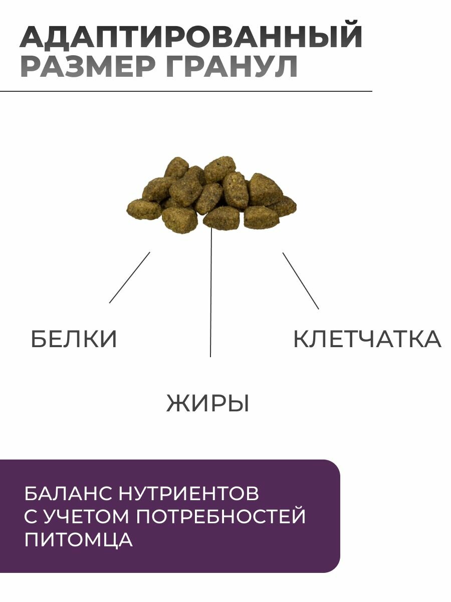 Bosch Soft+ Mini (Цесарка с бататом) 2,5 кг — фото 1