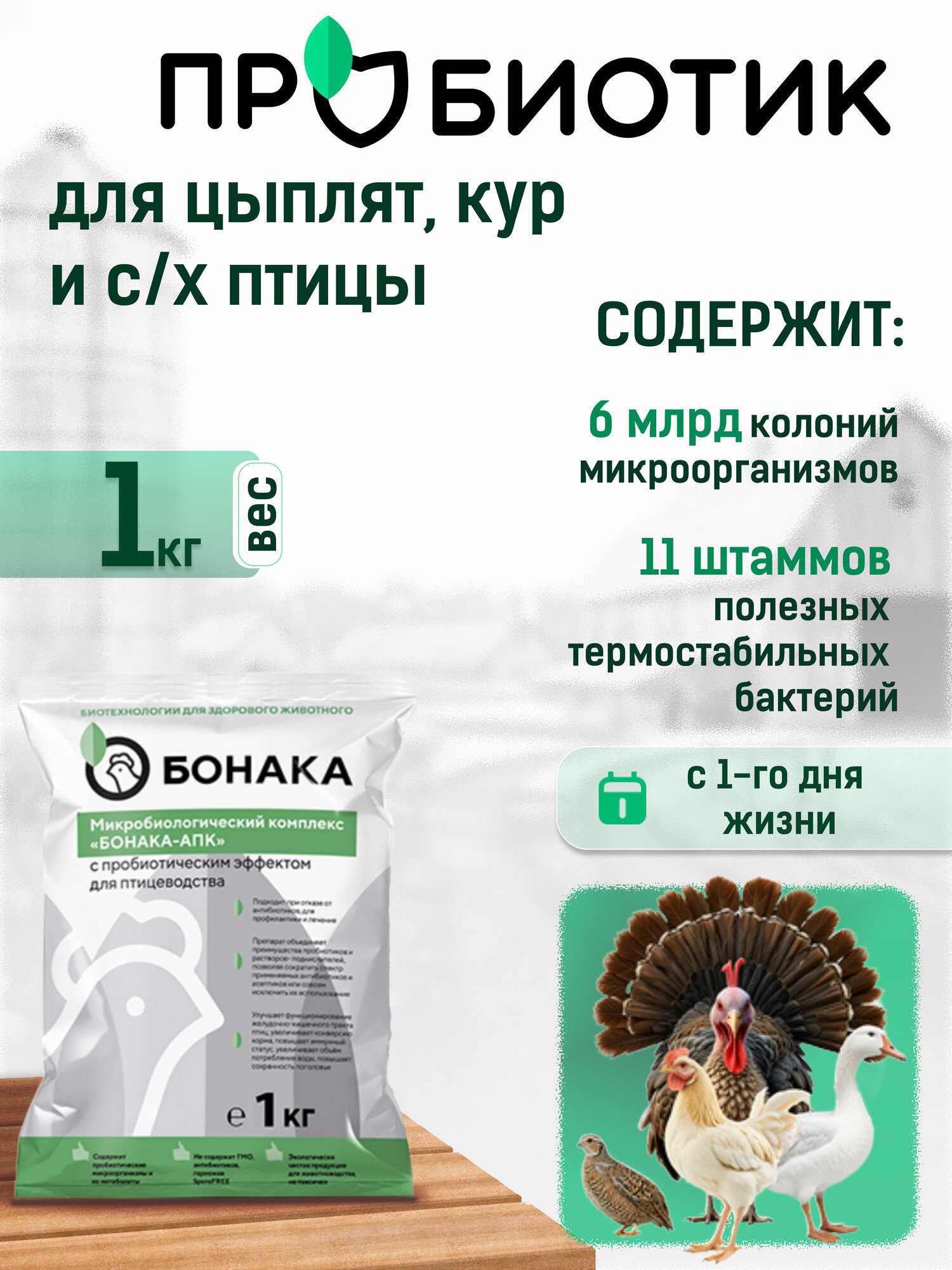 Кормовая добавка для цыплят, кур и прочей с/х птицы Пробиотик бонака-апк, сухая форма, 1 кг