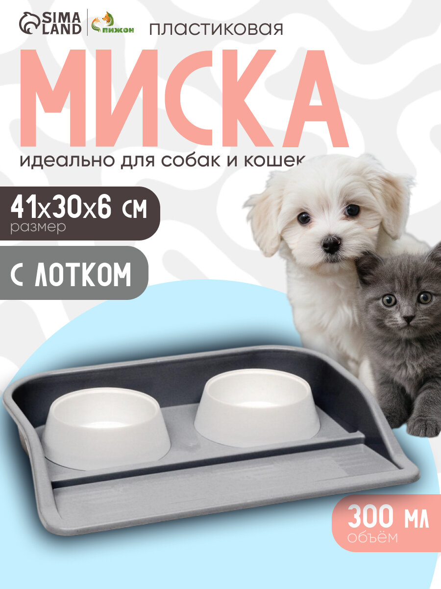 Миски с лотком «Феликс», 300 мл, 41×30×6 см, пластик, серый лоток, белые миски