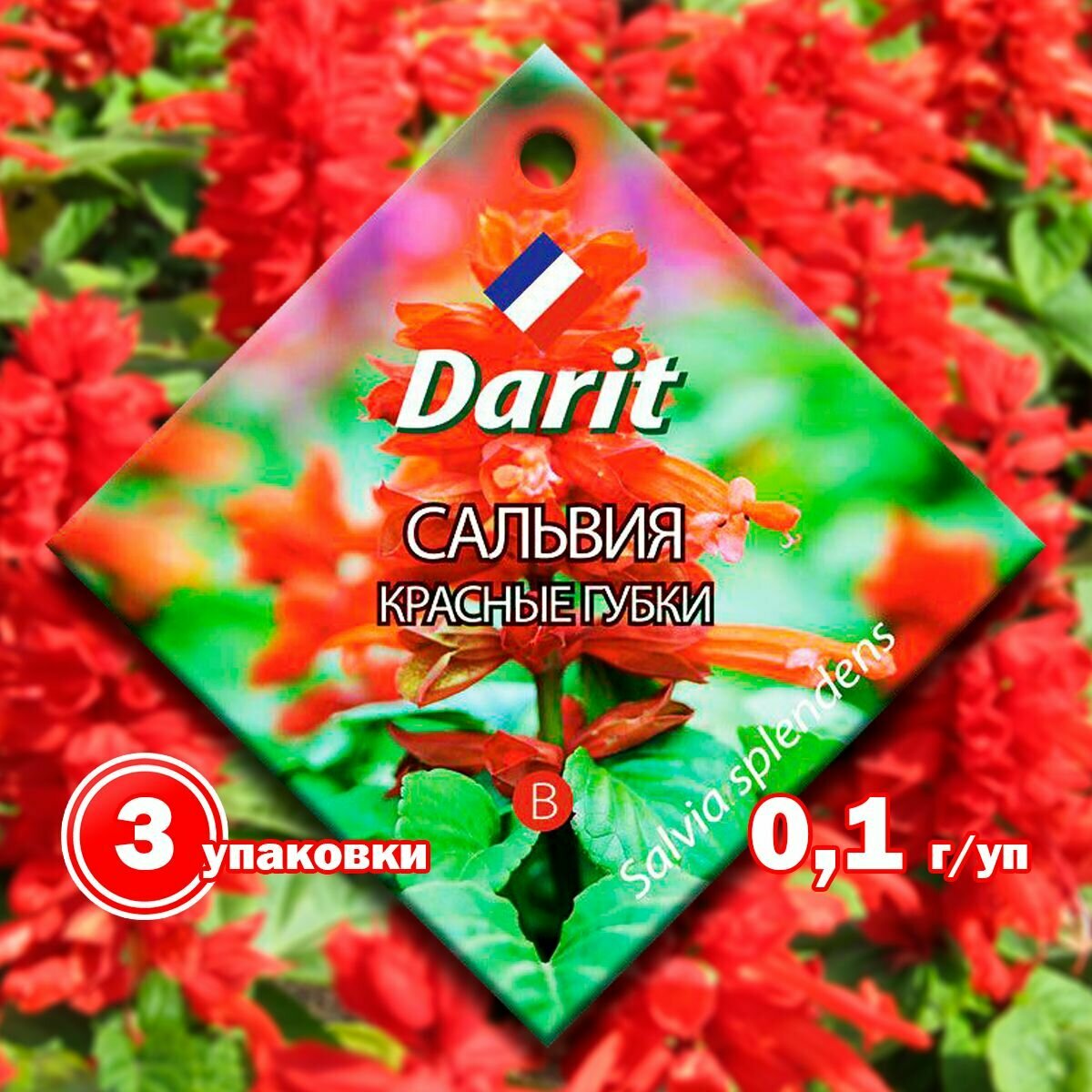 Семена Darit сальвия Красные губки 0,1 г/уп, 3 упаковки
