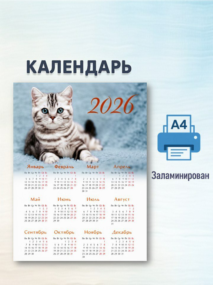 Календарь 2026 г, Настенный, A4, Кошечка (ламинированный)