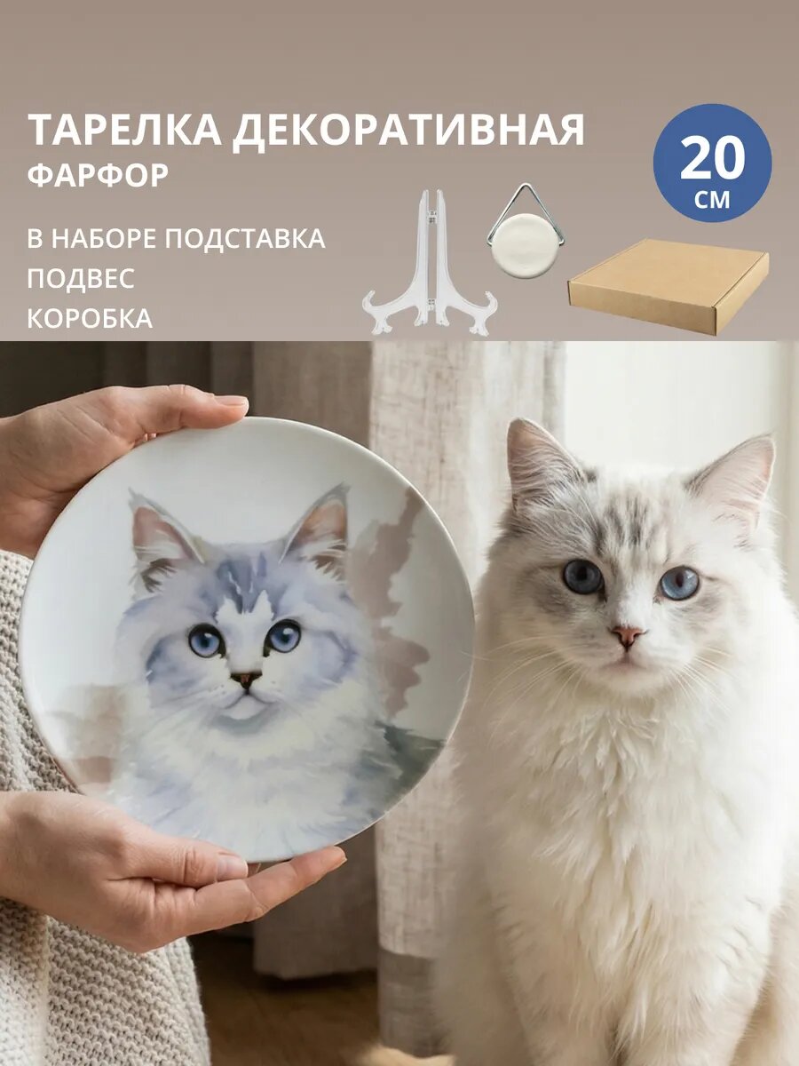Тарелка декоративная фарфоровая 20 см Добрушский фарфор Снежок
