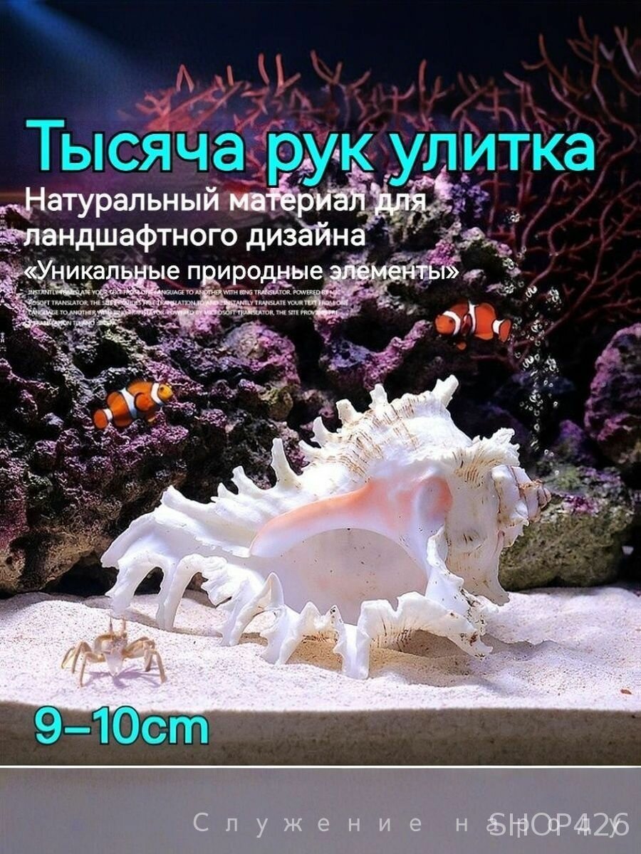 Ракушка морская, натуральная Мурекс, " Белая невеста" 9-10см./декорация для аквариума