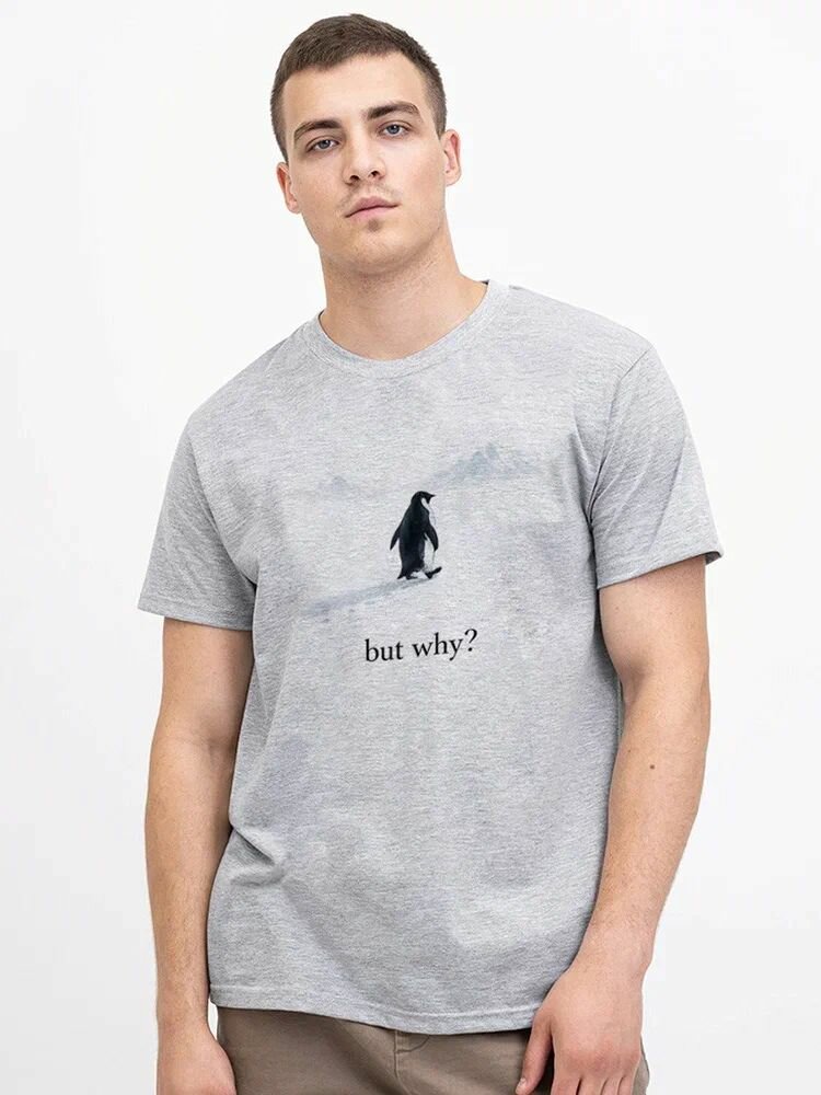 Футболка Одинокий Пингвин / But Why / Мужская