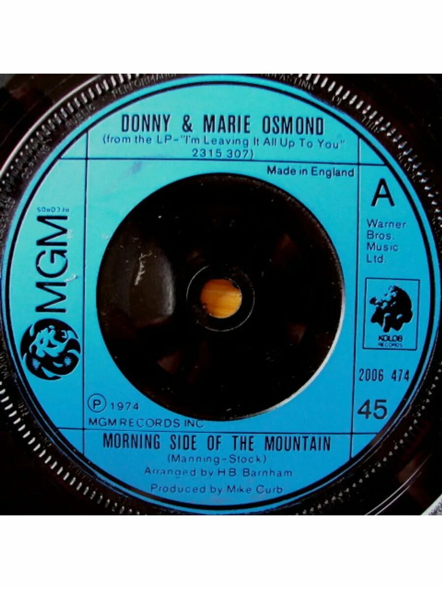 Donny & Marie Osmond - Morning Side Of The Mountain (нет об