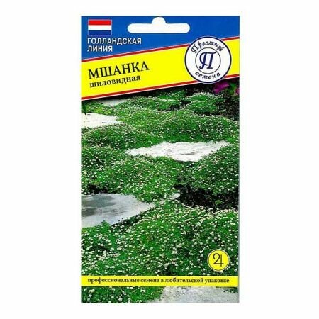 Семена Мшанка шиловидная - многолетник для альпийских горок. Престиж