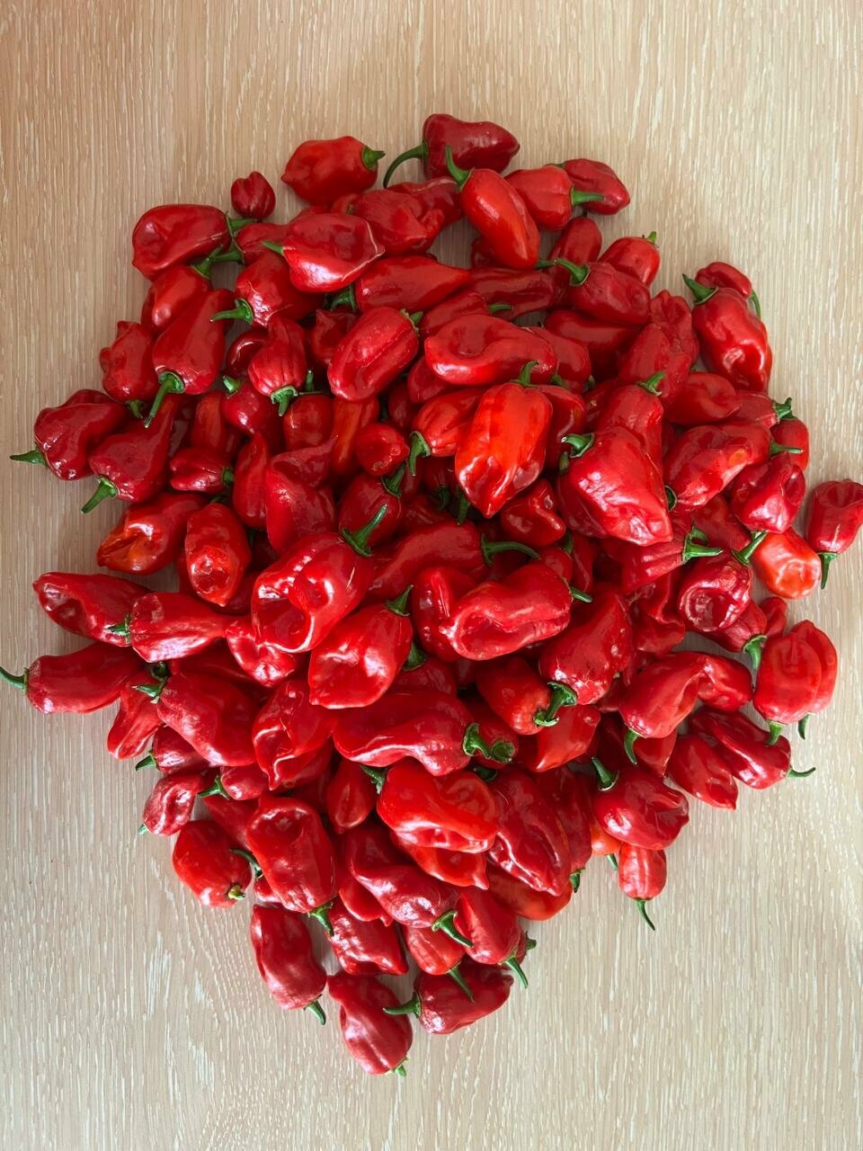 Семена Острый перец Habanero Red (Хабанеро красный), 10 семян