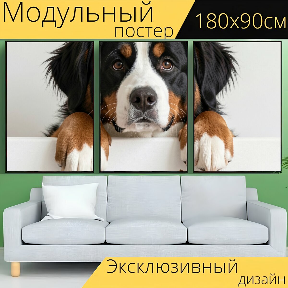 Модульный постер "Щенок бернского зенненхунда с кистью. Милый пёс с выразительным взглядом и лапами на белом фоне, рядом рука с тонкой." 180 x 90 см. для интерьера на стену в тубусе